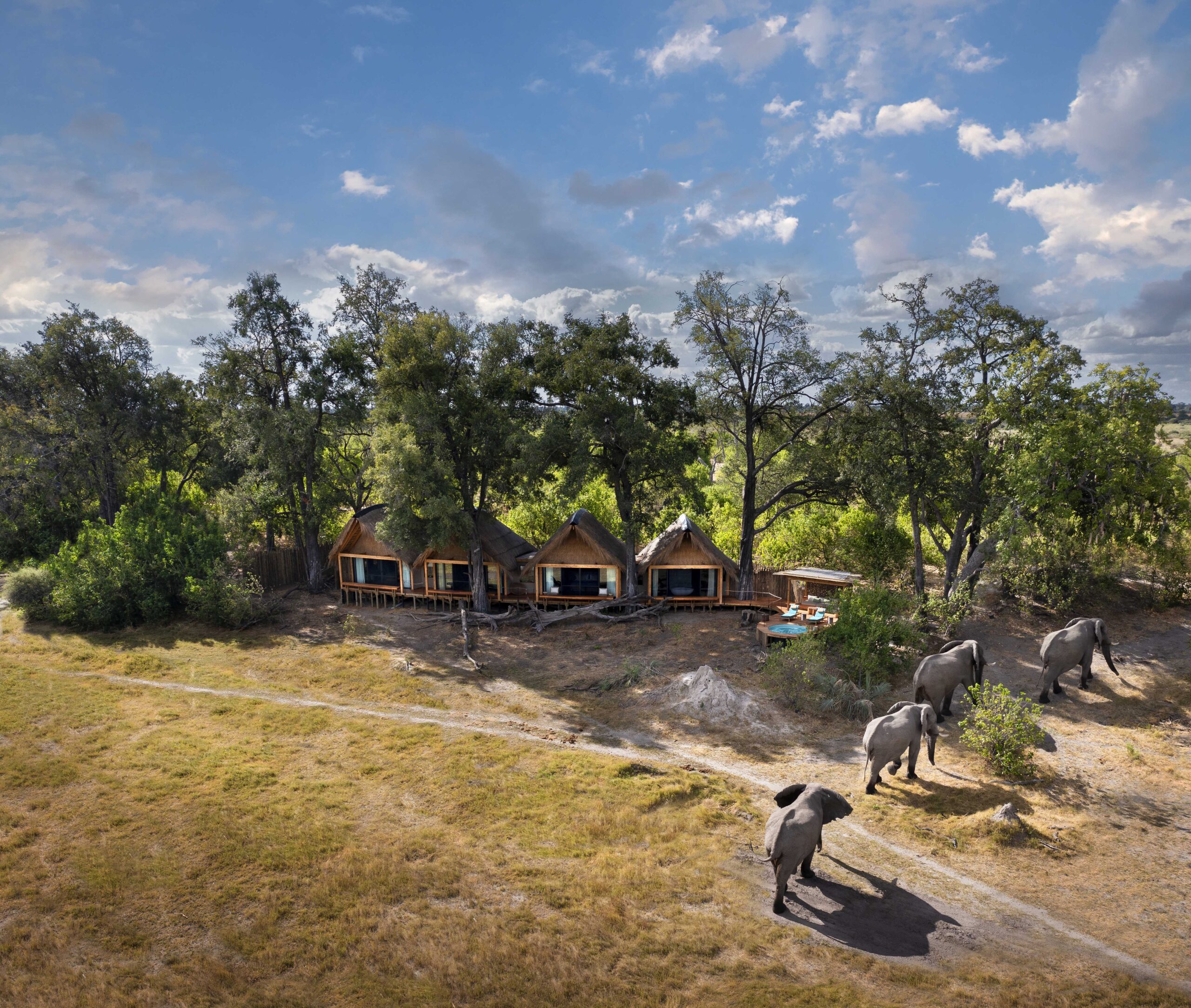 New Opening Tawana Camp | tcinternational